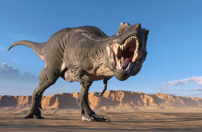 Tiranosaurio Rex, el dinosaurio más temido | Wiki Dinosaurios SIS4 | Fandom