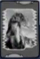 Dinosaur King Carcharodontosaurus Spectral Armor