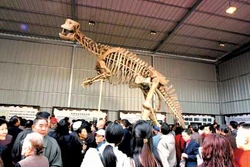 Dinosaur King Lanzhousaurus