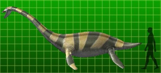 Muraenosaurus | Dinosaur King | Fandom