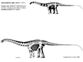 Apatosaurus | Dinosaur King | Fandom