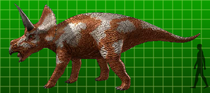 Diceratops | Dinosaur King | Fandom