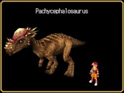 Dinosaur King Pachycephalosaurus Card