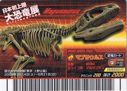 Squelette De Mapusaurus Mapusaurus Wikipedia