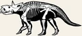 Pachyrhinosaurus | Dinosaur King | Fandom