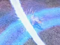 Mayfly | Dinosaur King | Fandom