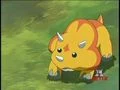 Chomp | Dinosaur King Fanon Wiki | Fandom