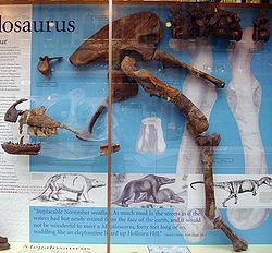 Megalosaurus | Dinosaurpedia Wiki | Fandom