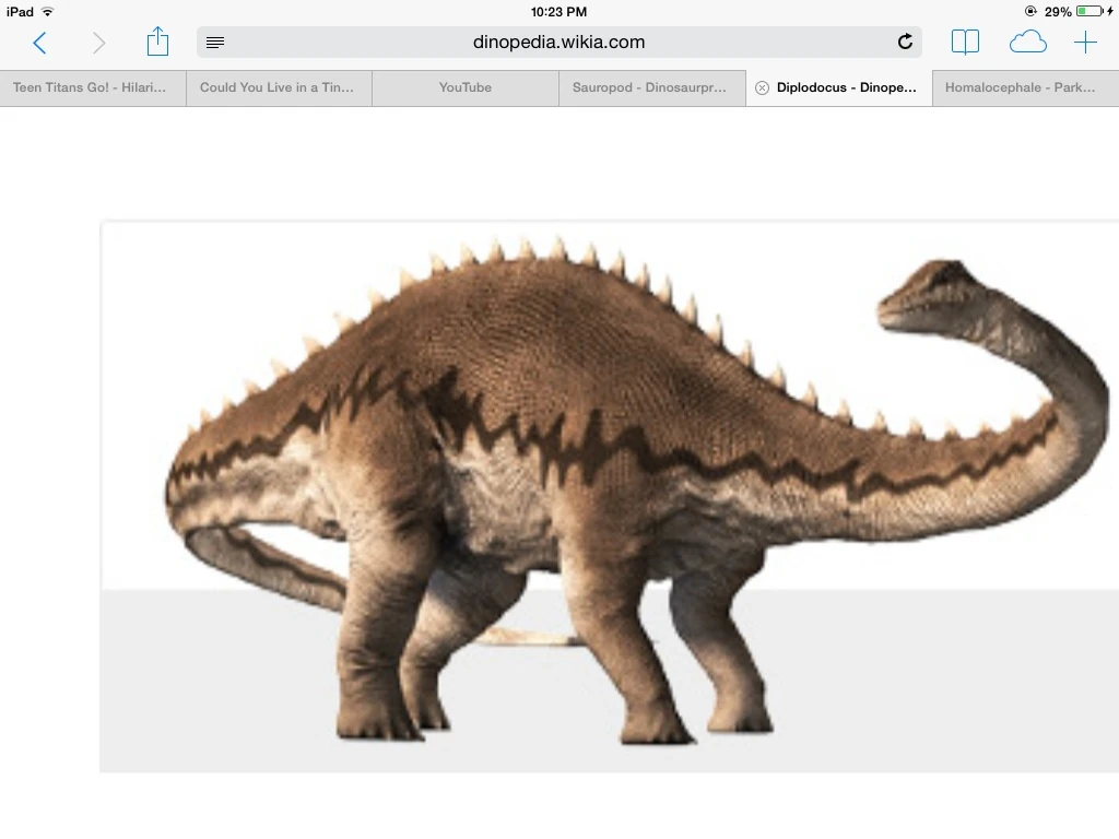 Diplodocus | Dinosaurpredia Wiki | Fandom