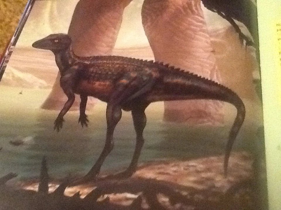 Scutellosaurus | Dinosaurpredia Wiki | Fandom