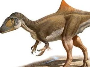 Concavenator | Dinosaurpredia Wiki | Fandom