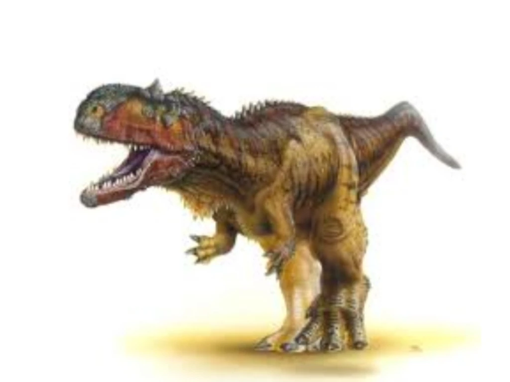 Rajasaurus | Dinosaurpredia Wiki | Fandom