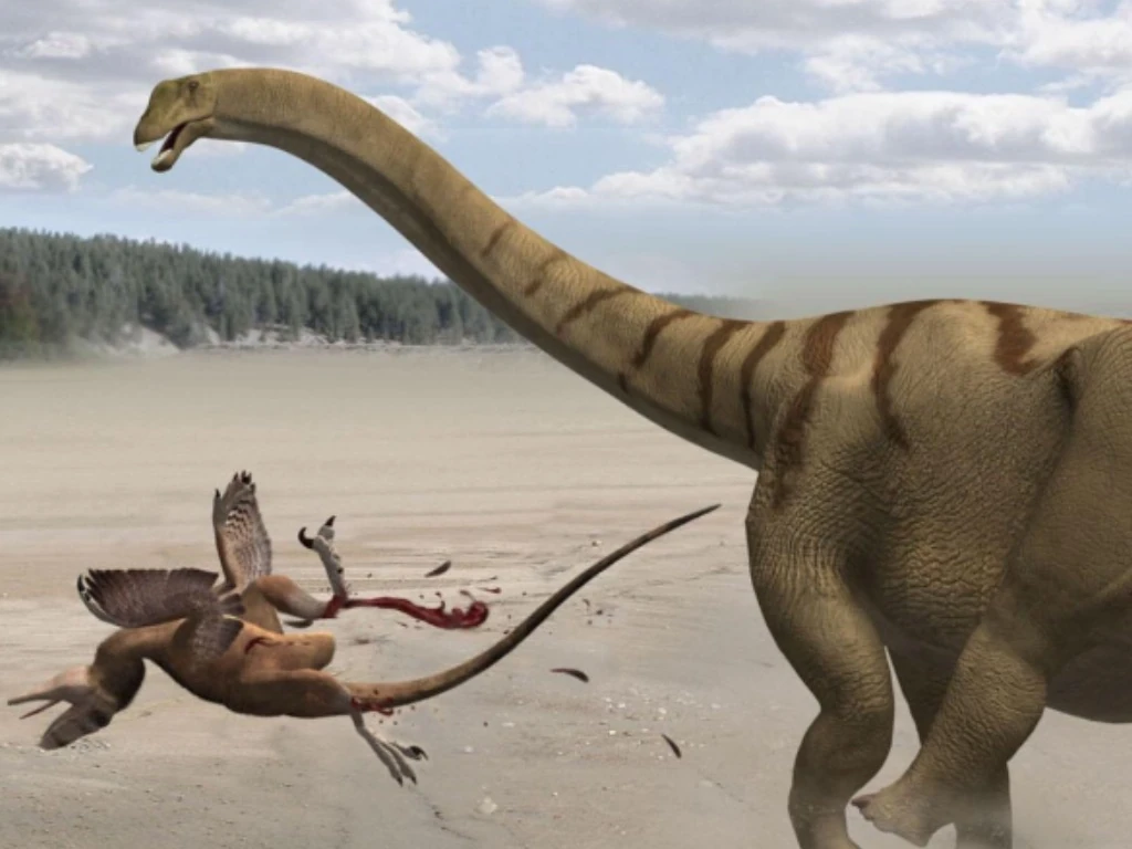 Brontomerus | Dinosaurpredia Wiki | Fandom