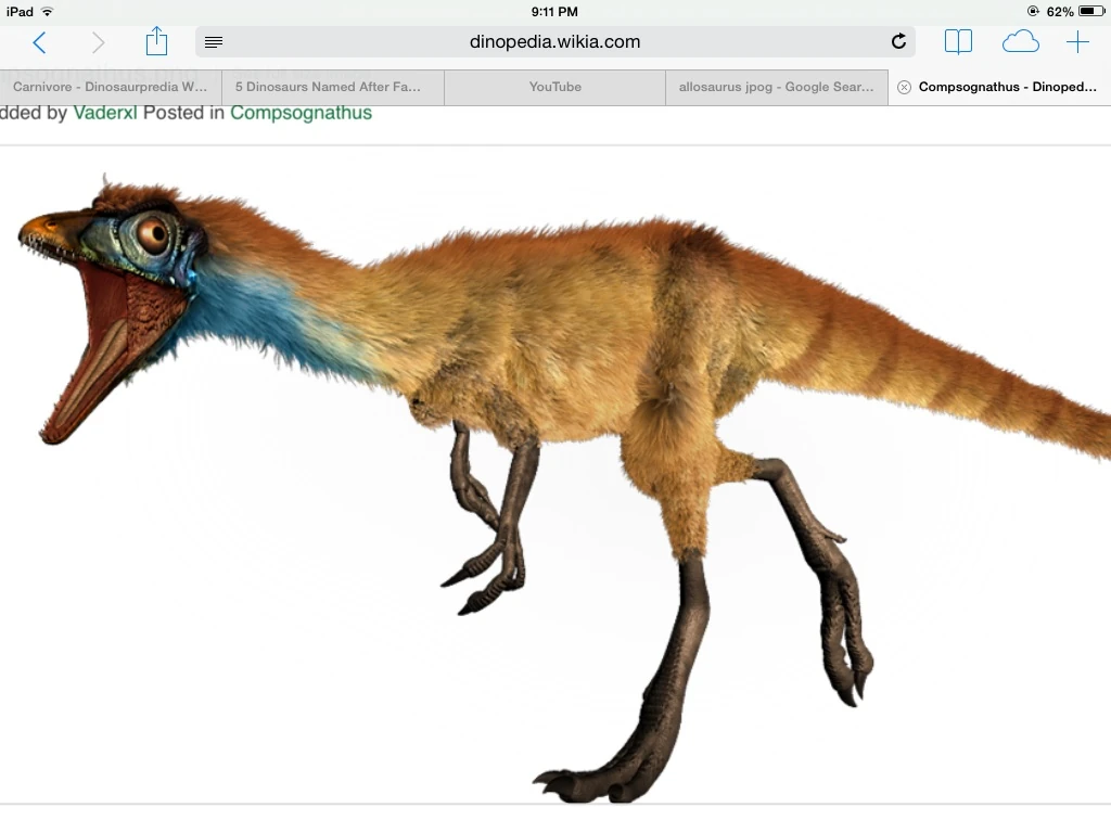Compsognathus | Dinosaurpredia Wiki | Fandom