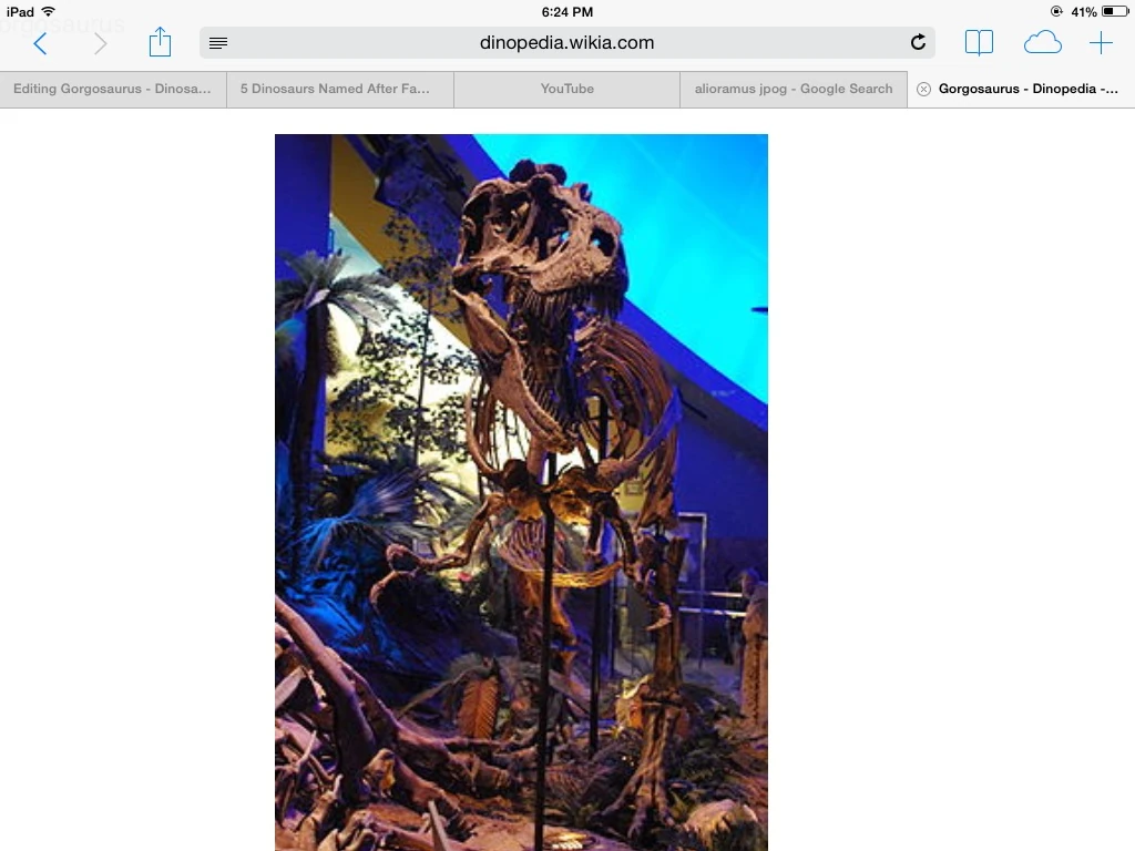 Gorgosaurus | Dinosaurpredia Wiki | Fandom