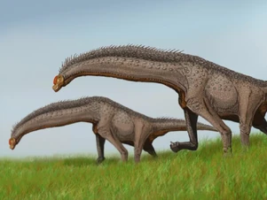 Isisaurus | Dinosaurpredia Wiki | Fandom
