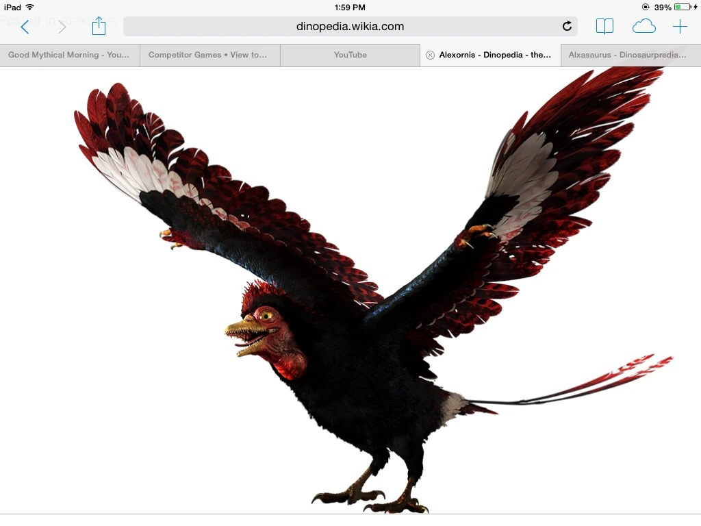 Alexornis | Dinosaurpredia Wiki | Fandom