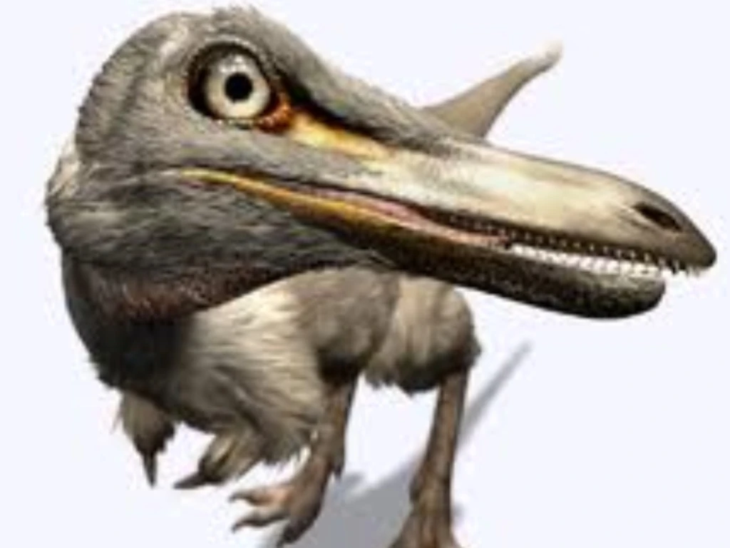 Shuvuuia | Dinosaurpredia Wiki | Fandom