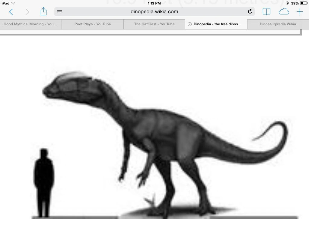 Lophostropheus | Dinosaurpredia Wiki | Fandom