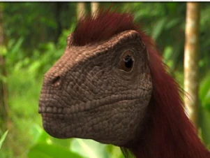 Pyroraptor | Dinosaurpredia Wiki | Fandom