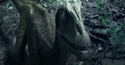 Dinosaur Revolution Cryolophosaurus Female