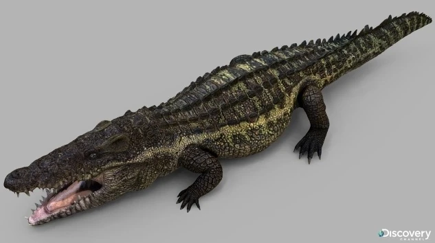 Crocodyliform | Dinosaur Revolution Wiki | Fandom