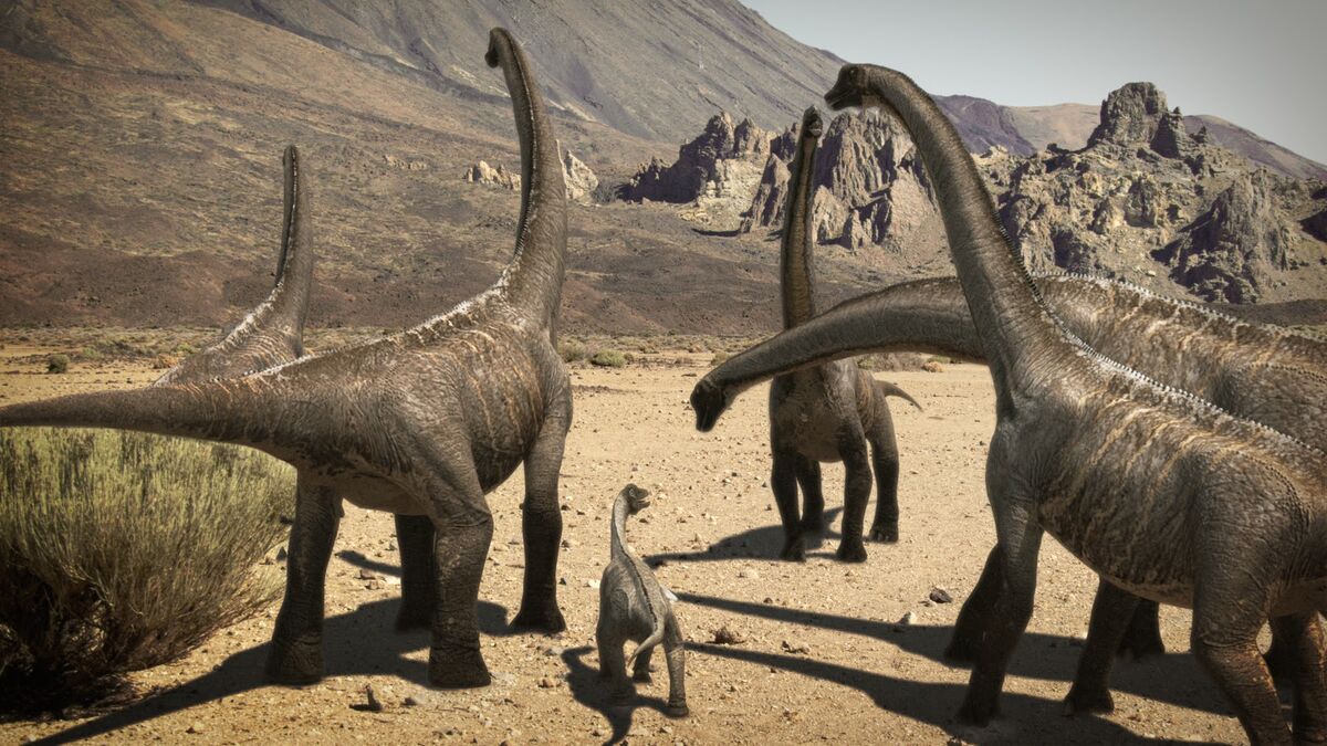 Cedarosaurus Dinosaur Revolution Wiki Fandom