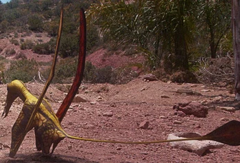 Rhamphorhynchus | Dinosaur Revolution Wiki | Fandom