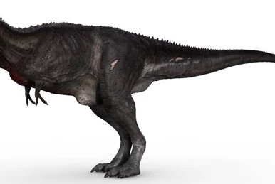 Dinosaur Revolution Tyrannosaurus Rex Male