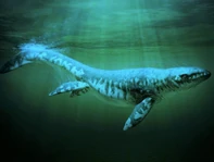 Prognathodon | Dinosaurs Battle World Championship Wiki | Fandom