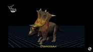 Chasmosaurus | Dinosaurs Battle World Championship Wiki | Fandom
