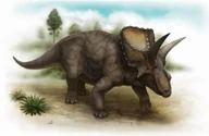 Diceratops | Dinosaurs Battle World Championship Wiki | Fandom