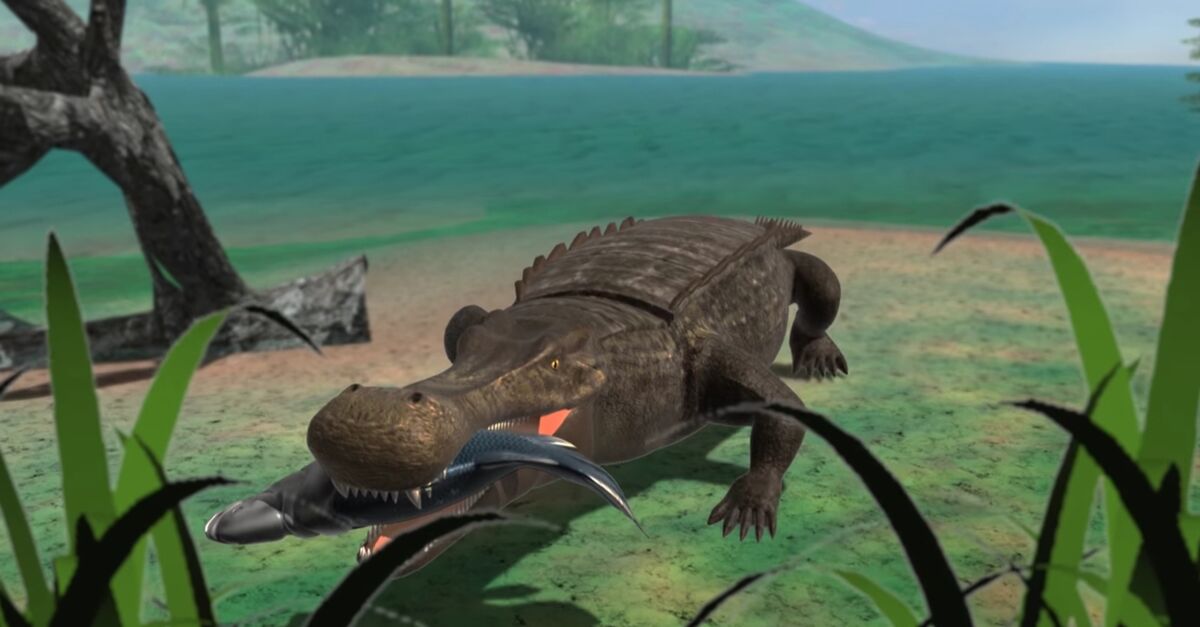Sarcosuchus Vs Titanoboa