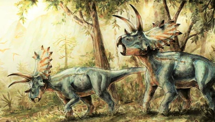 anchiceratops coloring page