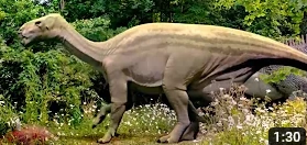 Iguanodon | Dinosaurs Britain Wiki | Fandom