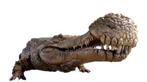 Sarcosuchus | Dinosaurs in Popular Culture Wiki | Fandom