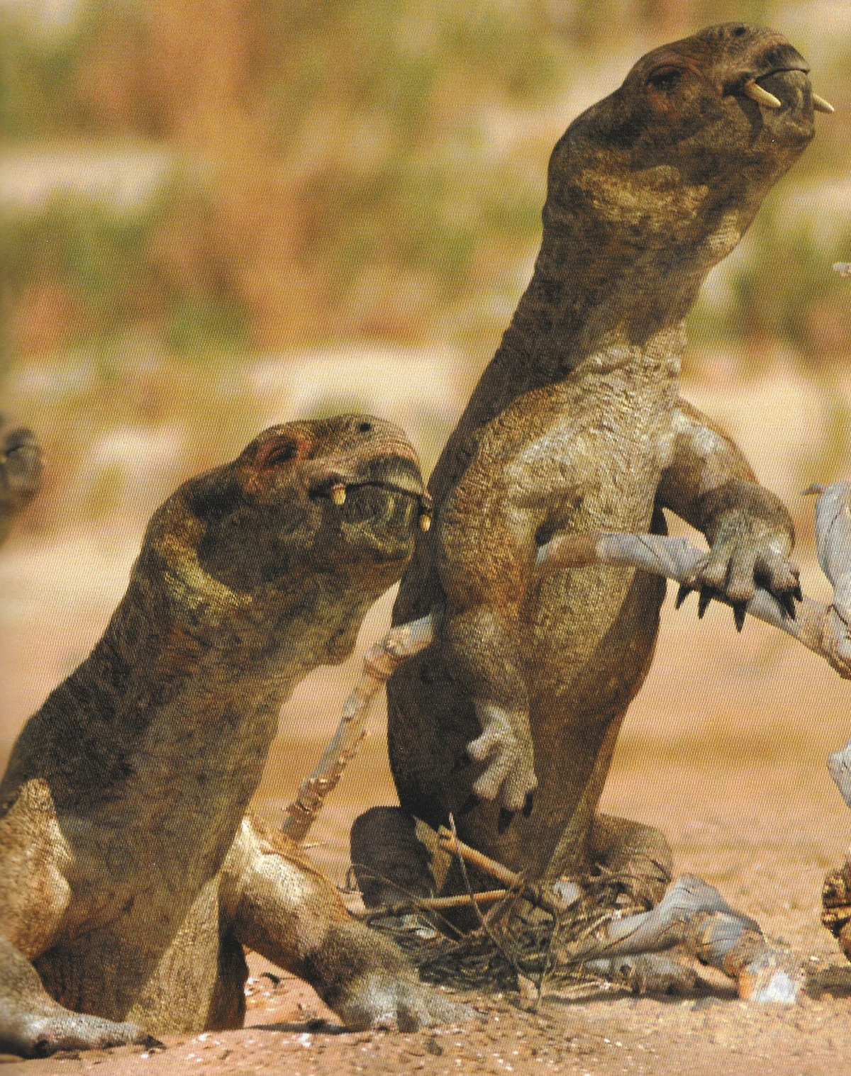 Diictodon | Dinosaurs in Popular Culture Wiki | Fandom