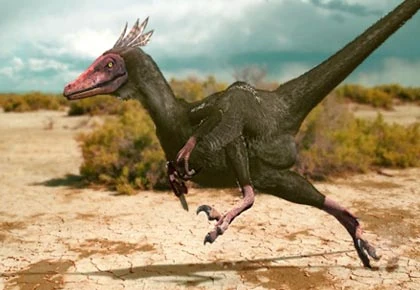 Velociraptor | Dinosaurs in Popular Culture Wiki | Fandom