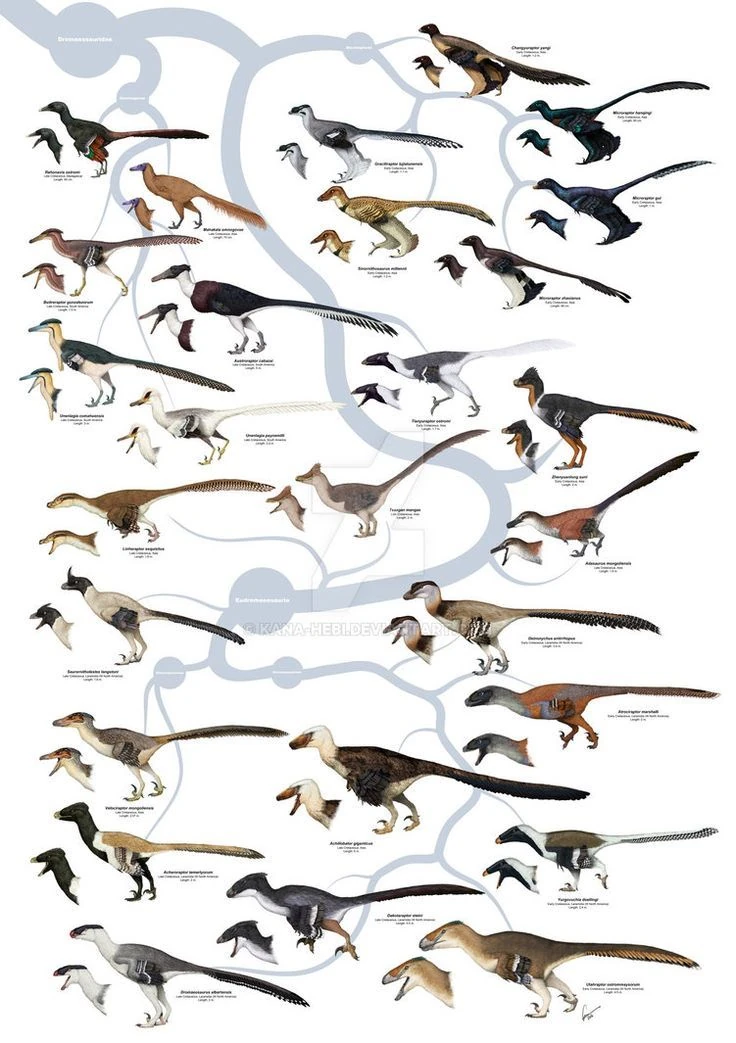 Dromaeosaur | Dinosaurs in the wild Wiki | Fandom