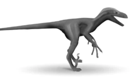 Acheroraptor | Dinosaurs in the wild Wiki | Fandom