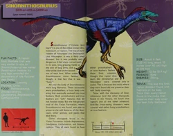 Sinornithosaurus Size