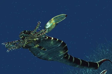 Carcinosoma | Dinopedia | Fandom