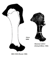 Spinosaurus | Dinopedia | Fandom