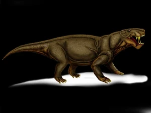 Gorgonopsia | Dinopedia | Fandom
