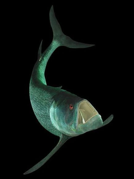 Gillicus | Dinopedia | Fandom