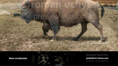 Discuss Everything About Dinopedia | Fandom