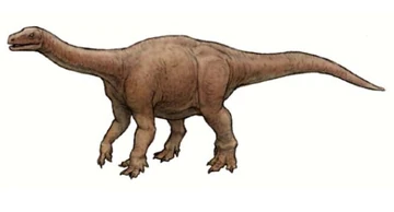 melanorosaurus length
