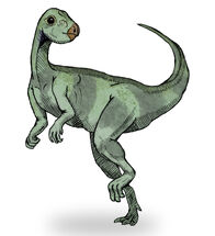 Qantassaurus | Dinopedia | Fandom