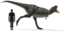 Aucasaurus | Dinopedia | Fandom