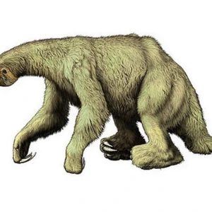 Discuss Everything About Dinopedia | Fandom